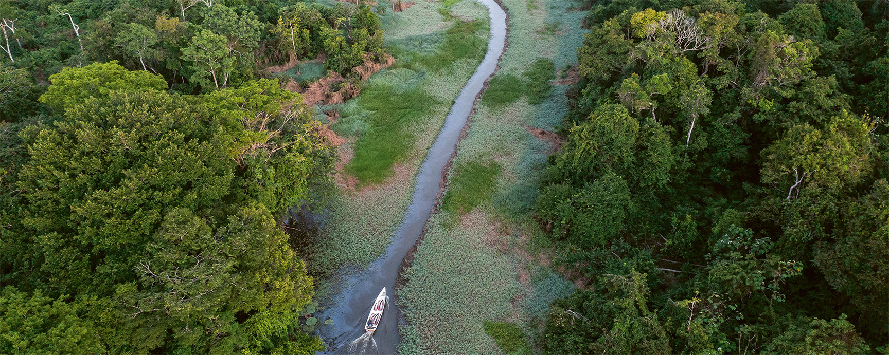 Two-year National Geographic and Rolex Perpetual Planet Amazon ...