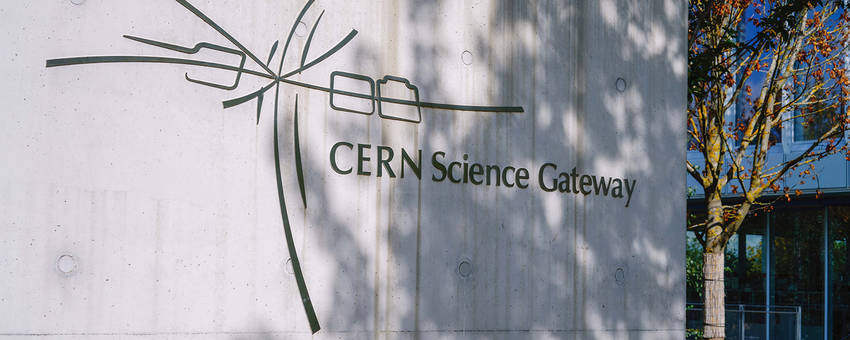 The CERN & Society Foundation
